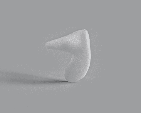 Inferior Medial Orbital Rim | Poriferous